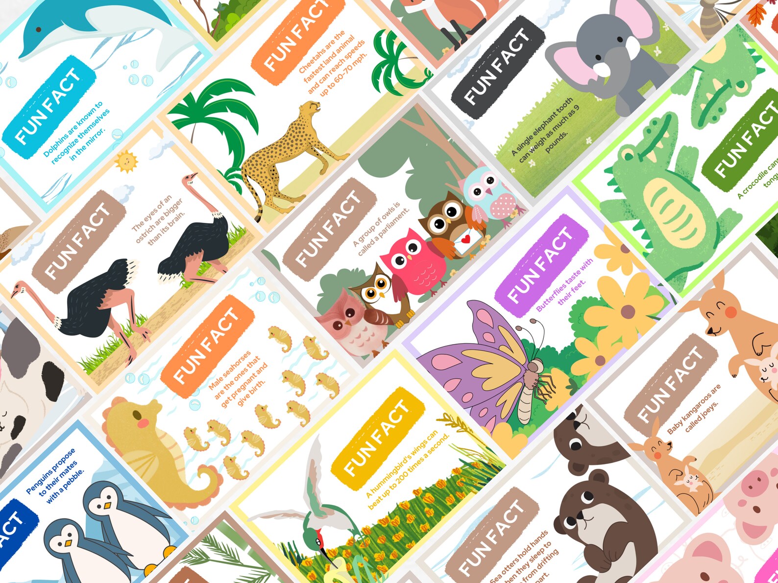Printable Animal Themed Lunch Box Facts for Kids Fun Facts - Etsy