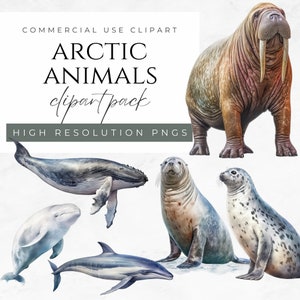 Arctic Animals Clipart Watercolor Polar Animals Clipart Winter Animals ...
