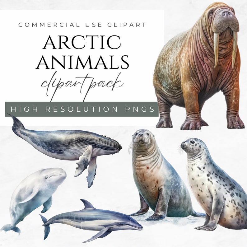 Arctic Animals Clipart Watercolor Polar Animals Clipart Winter Animals ...