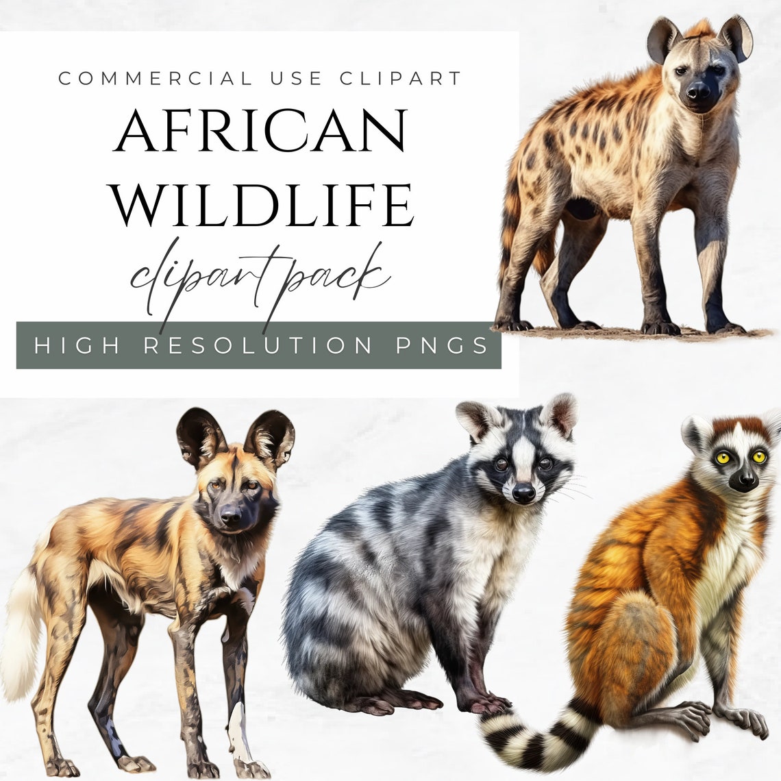 African Animals Clipart Safari Animals Clipart African Savanna Animals ...