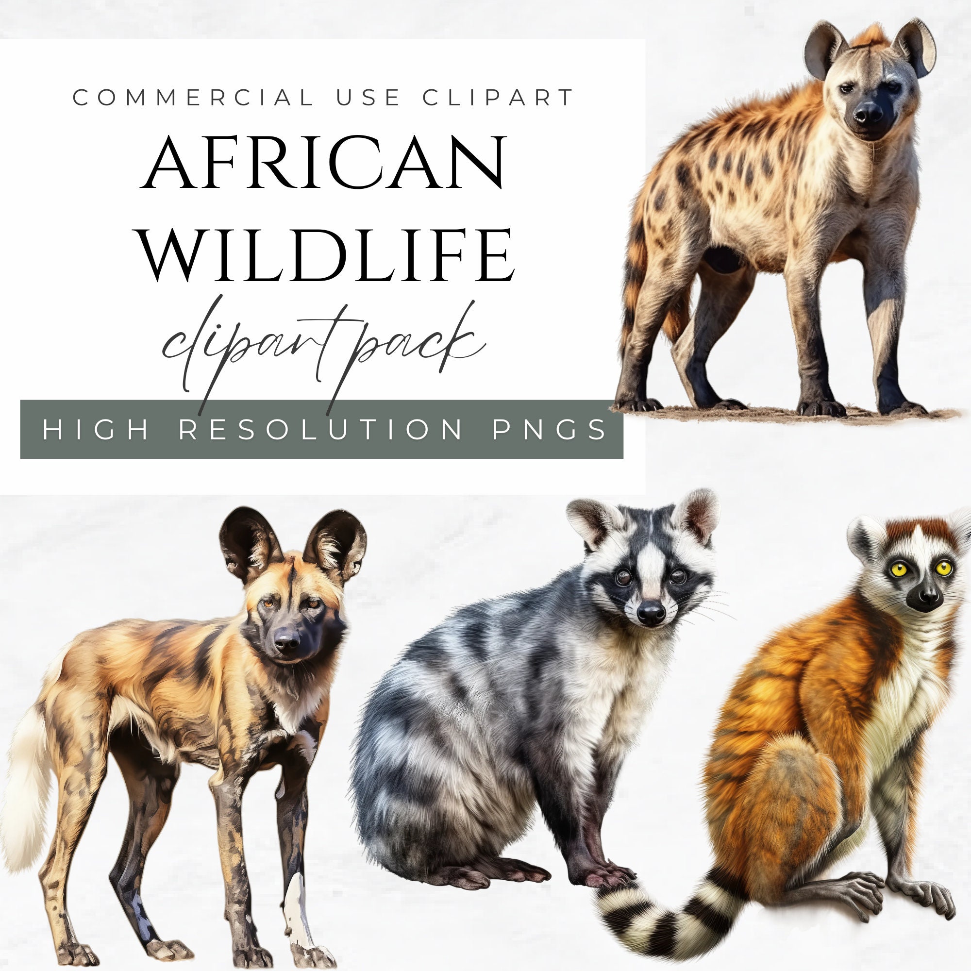 African Animals Clipart Safari Animals Clipart African Savanna Animals ...