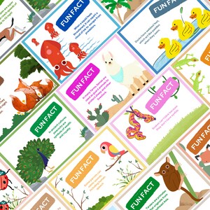 Printable Animal Themed Lunch Box Facts for Kids Fun Facts Trivia Lunch ...