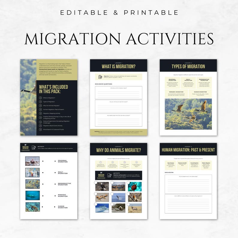 Migration Activities Templates Printable Migration Worksheet Animal ...