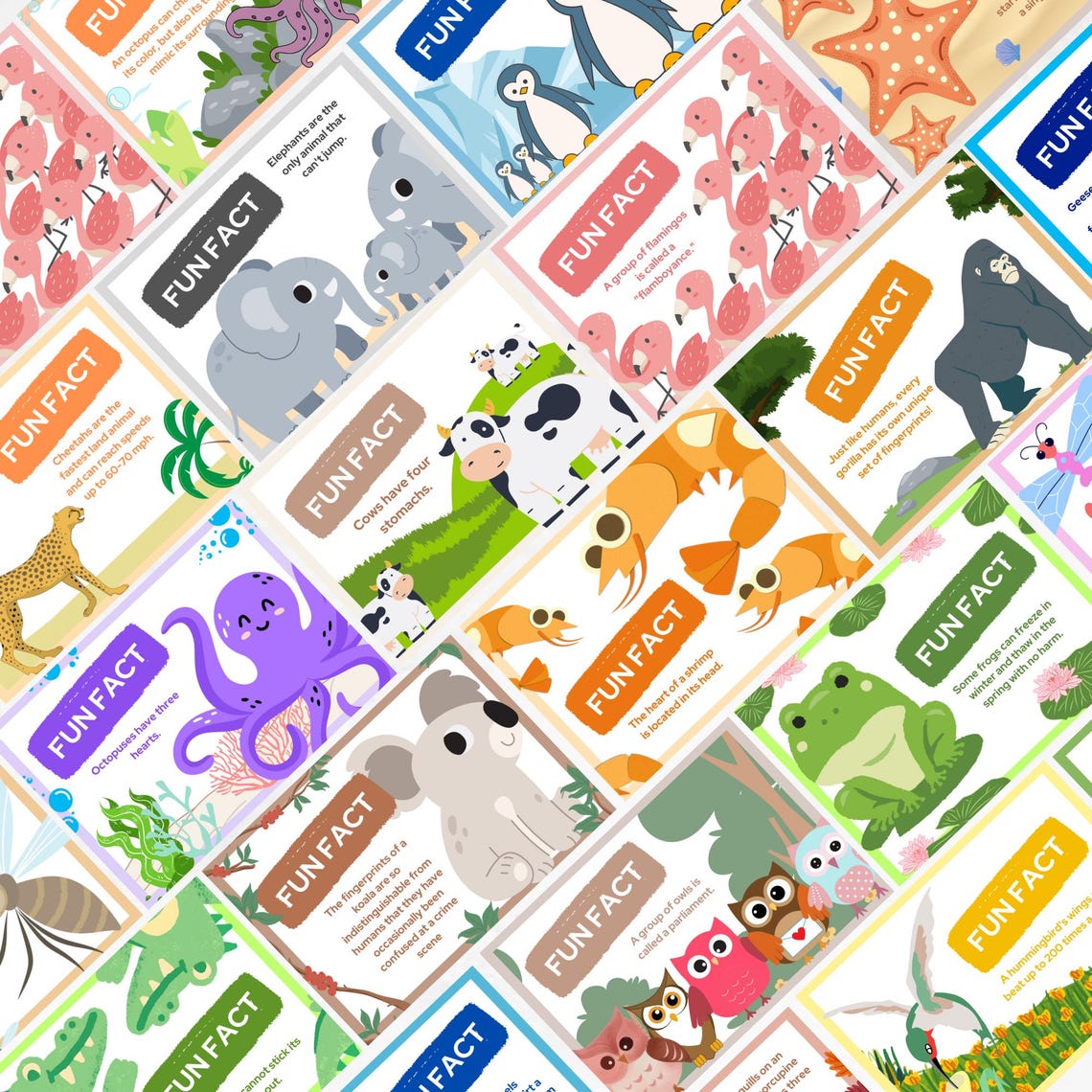 Printable Animal Themed Lunch Box Facts for Kids Fun Facts Trivia Lunch ...