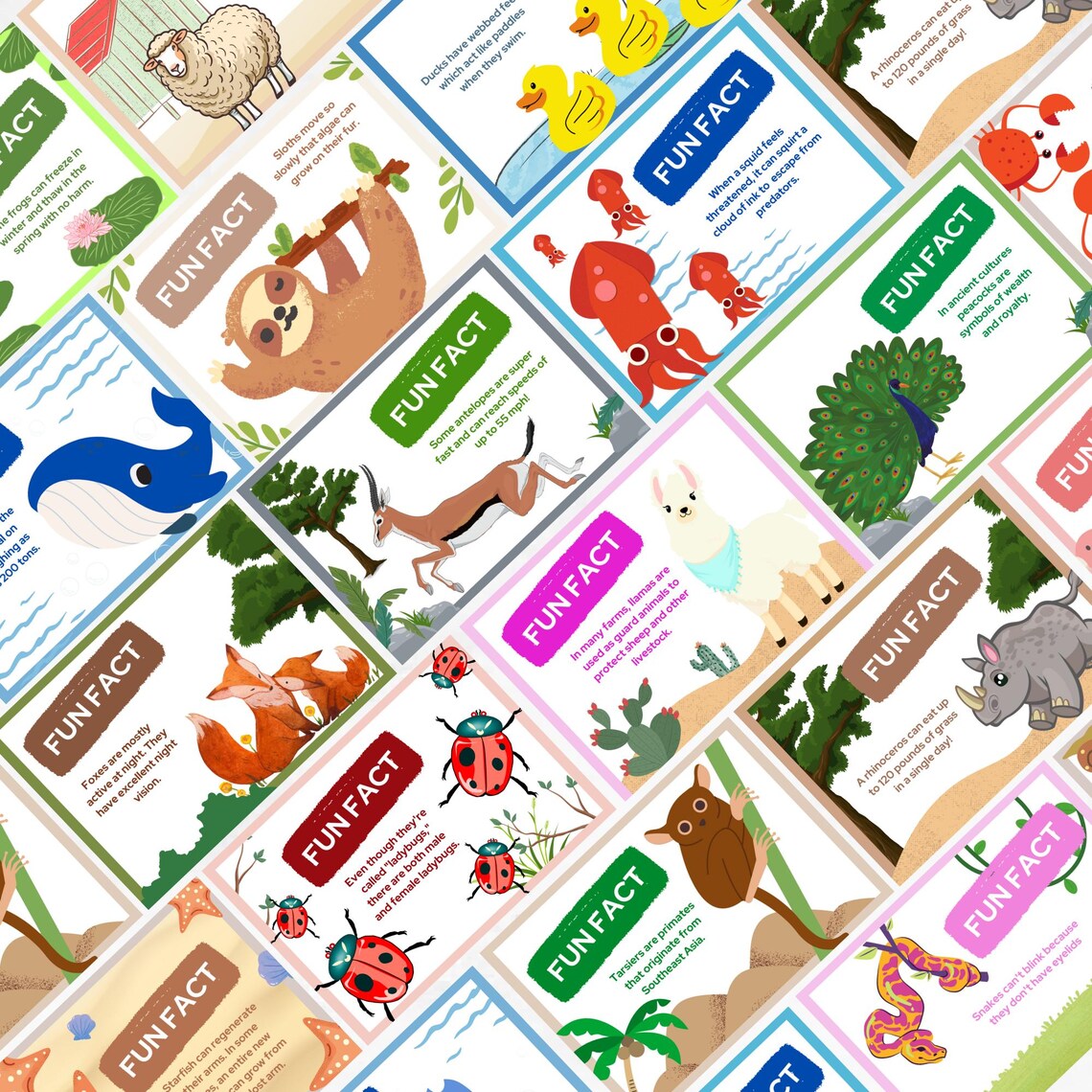 Printable Animal Themed Lunch Box Facts for Kids Fun Facts Trivia Lunch ...