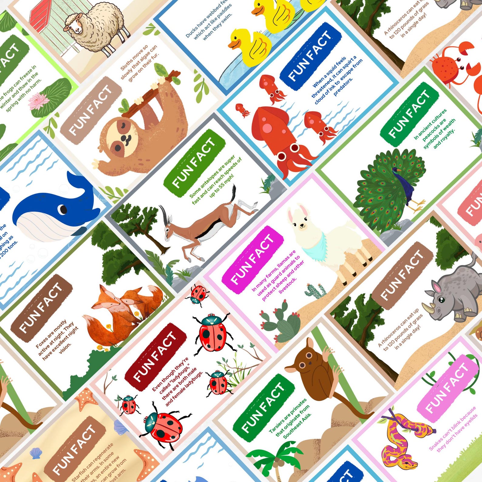 Printable Animal Themed Lunch Box Facts for Kids Fun Facts Trivia Lunch ...