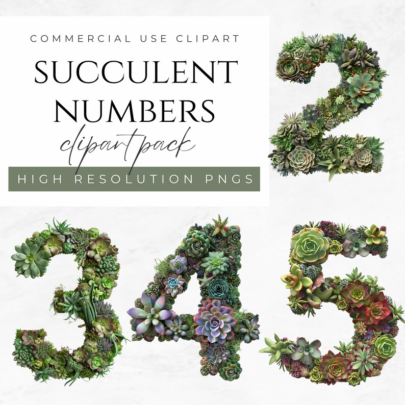 Succulent Plant Numbers Clipart Succulent Clipart Plant Numbers Floral ...