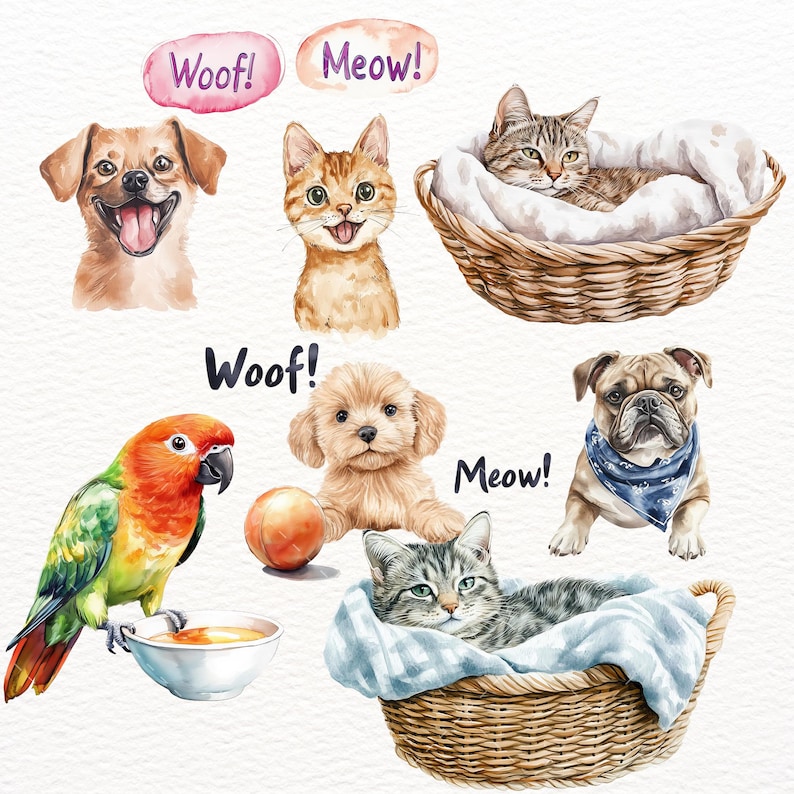 Pet Themed Clipart Dog Clipart Cat Clipart Animal Clipart Puppy Kitten ...