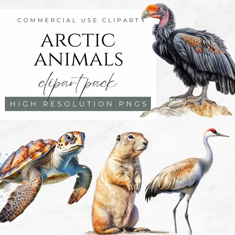 American Wildlife Animals Clipart USA Animals Clipart Wild Animals ...