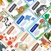 Printable Animal Themed Lunch Box Facts for Kids Fun Facts - Etsy