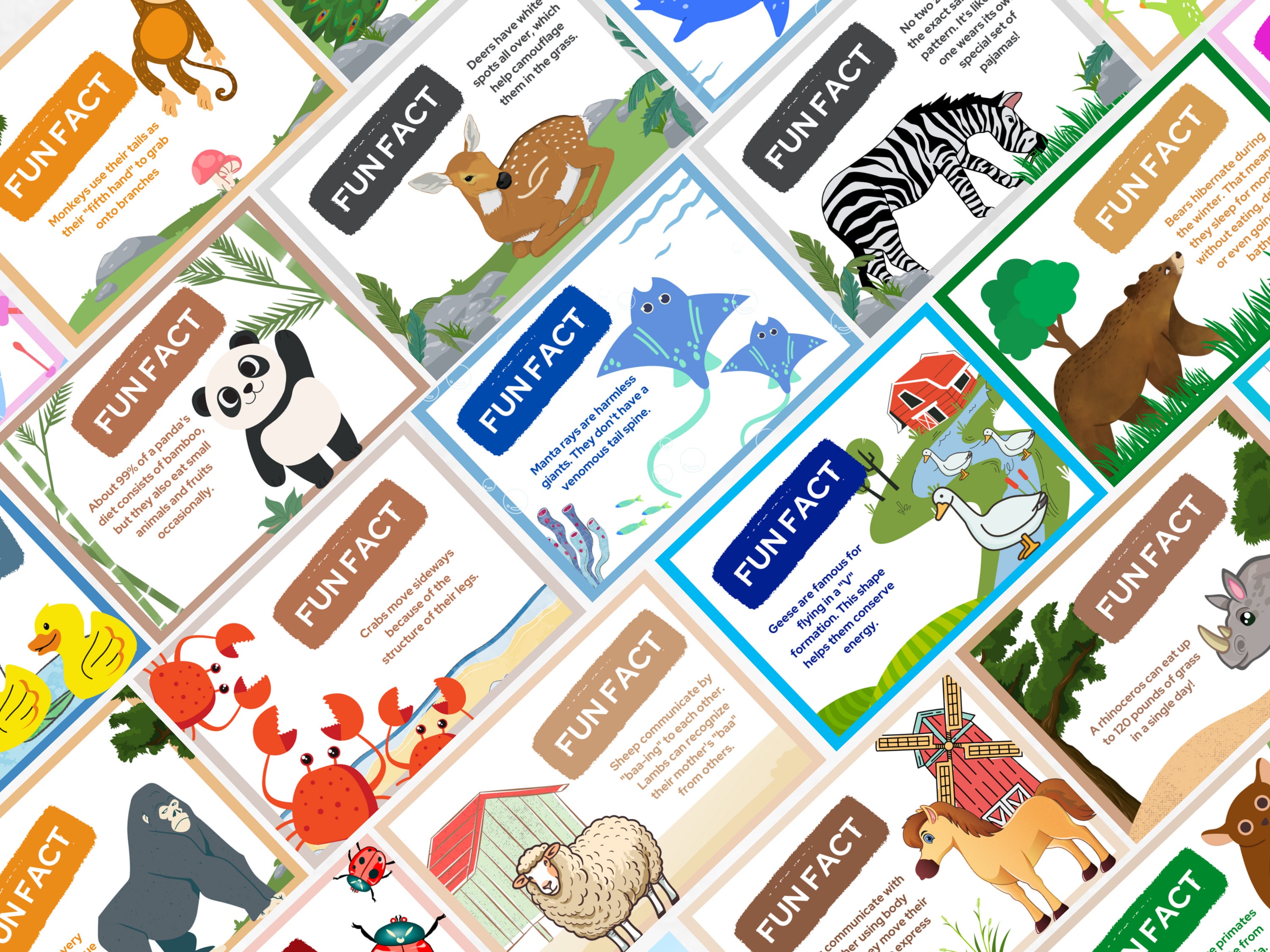 Printable Animal Themed Lunch Box Facts for Kids Fun Facts - Etsy
