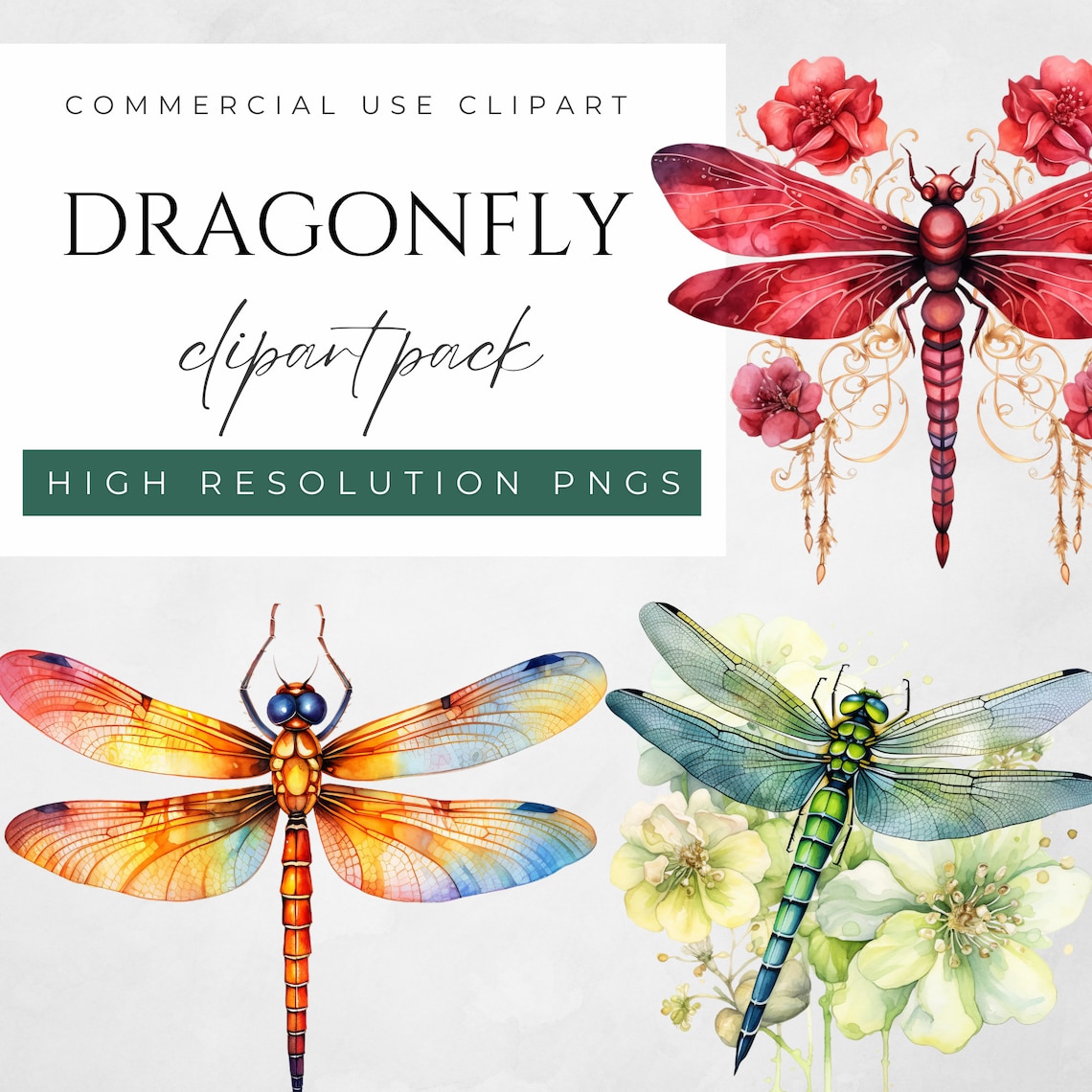 Dragonflies Clipart Dragonflies PNG Dragonfly Clipart Dragonfly Clip ...