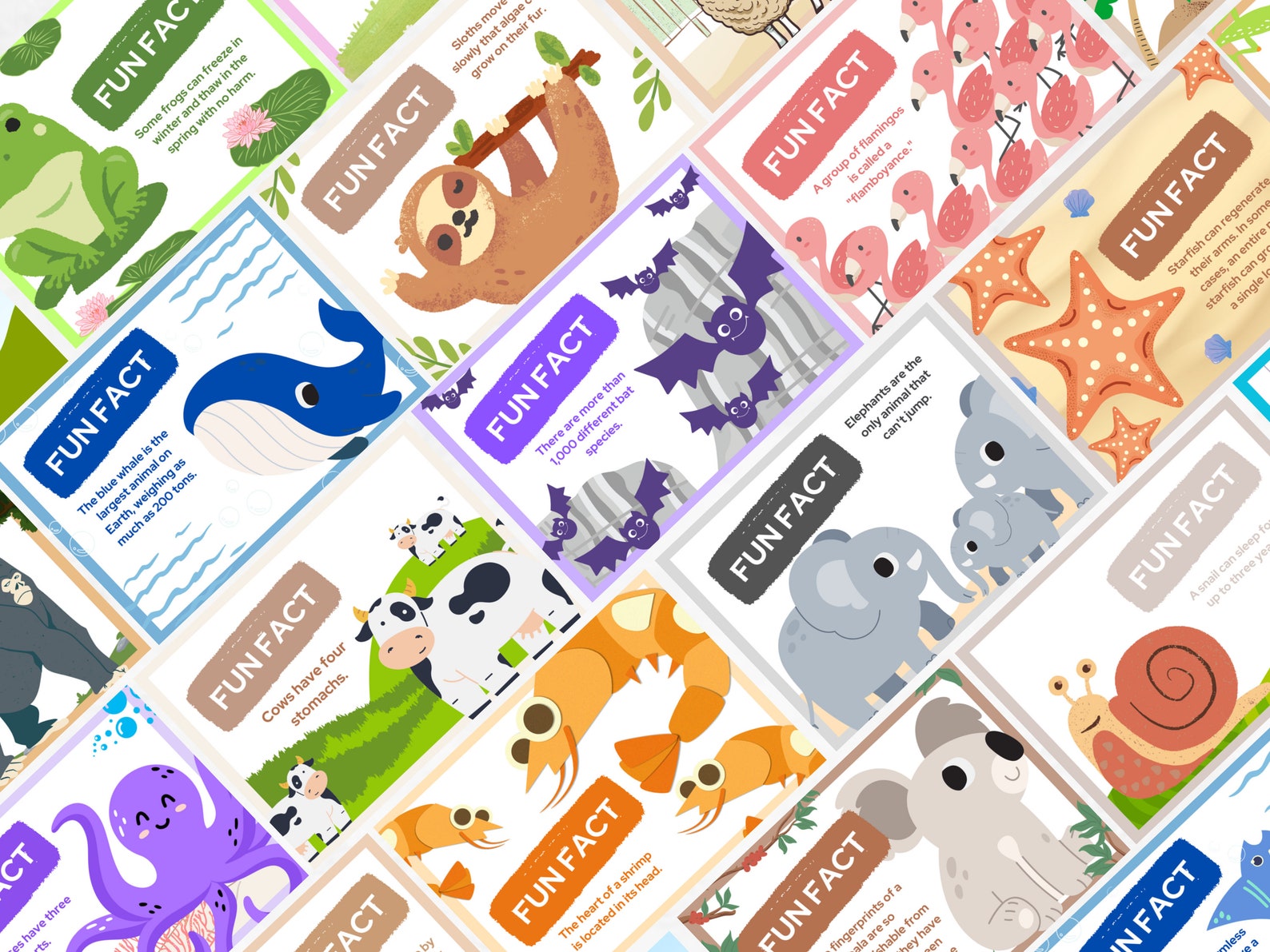 Printable Animal Themed Lunch Box Facts for Kids Fun Facts - Etsy