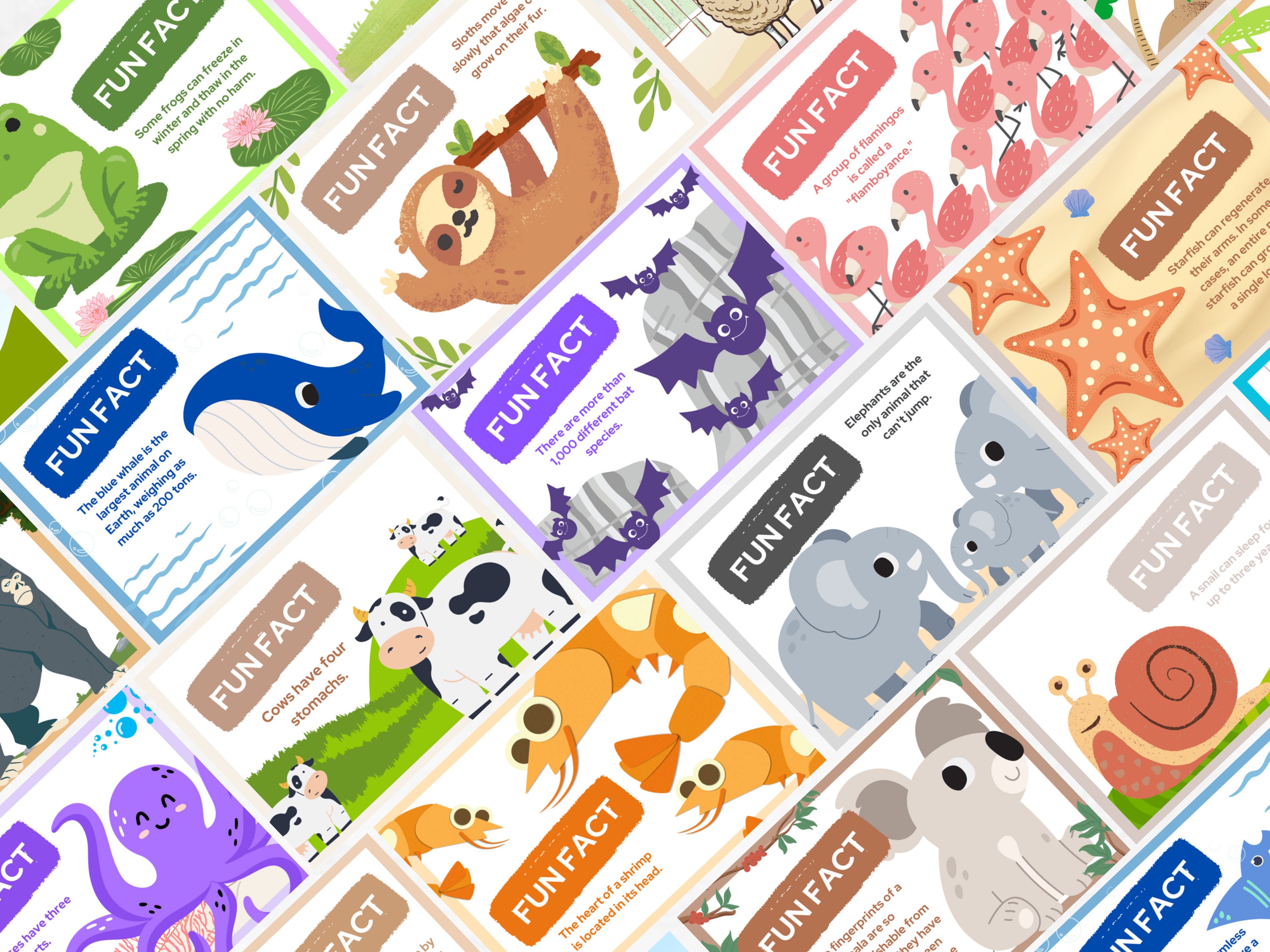 Printable Animal Themed Lunch Box Facts for Kids Fun Facts - Etsy
