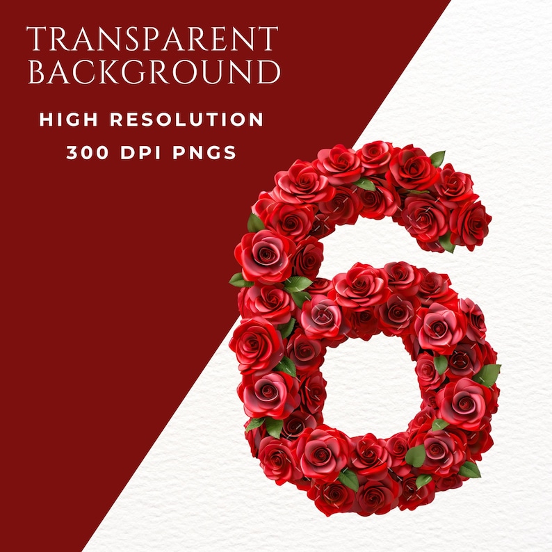 Red Roses Numbers Clipart Floral Numbers Clipart Rose Number Graphics ...