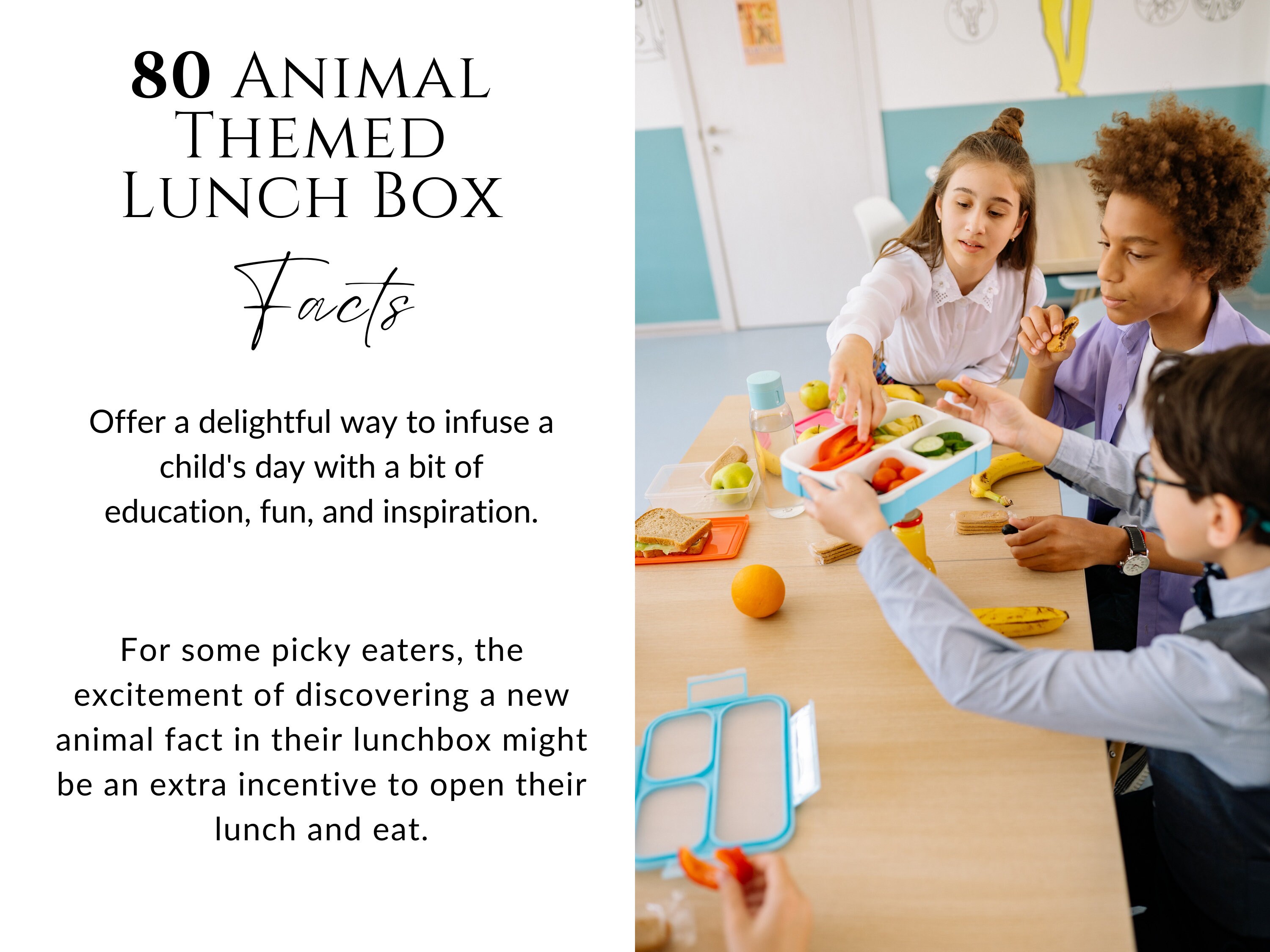 Printable Animal Themed Lunch Box Facts for Kids Fun Facts Trivia Lunch ...