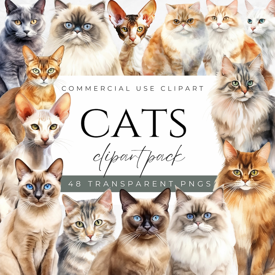 Cute Cats Clipart Cat Breeds Clipart Cats PNG Cat Portrait Clipart ...