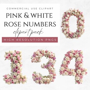 Rose Numbers Clipart Pink Rose Clipart White Rose Clipart Floral ...