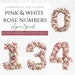 Rose Numbers Clipart Pink Rose Clipart White Rose Clipart Floral ...