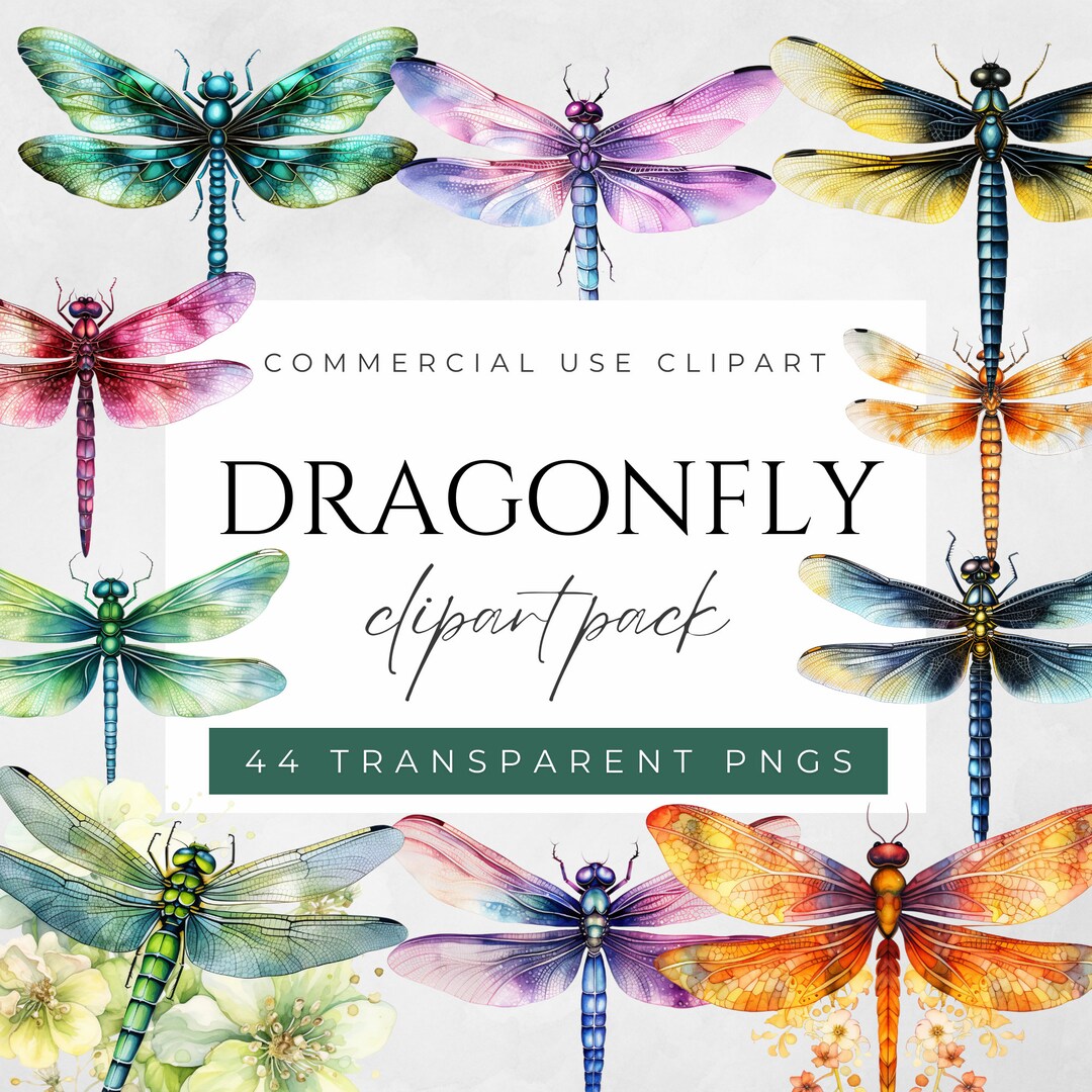 Dragonflies Clipart Dragonflies PNG Dragonfly Clipart Dragonfly Clip ...