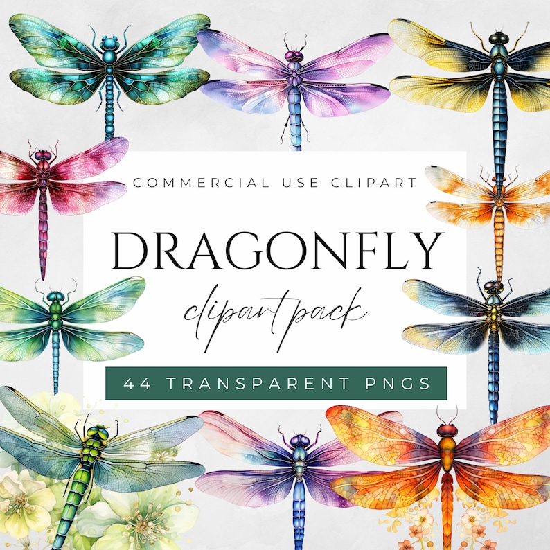 Dragonflies Clipart Dragonflies PNG Dragonfly Clipart Dragonfly Clip ...