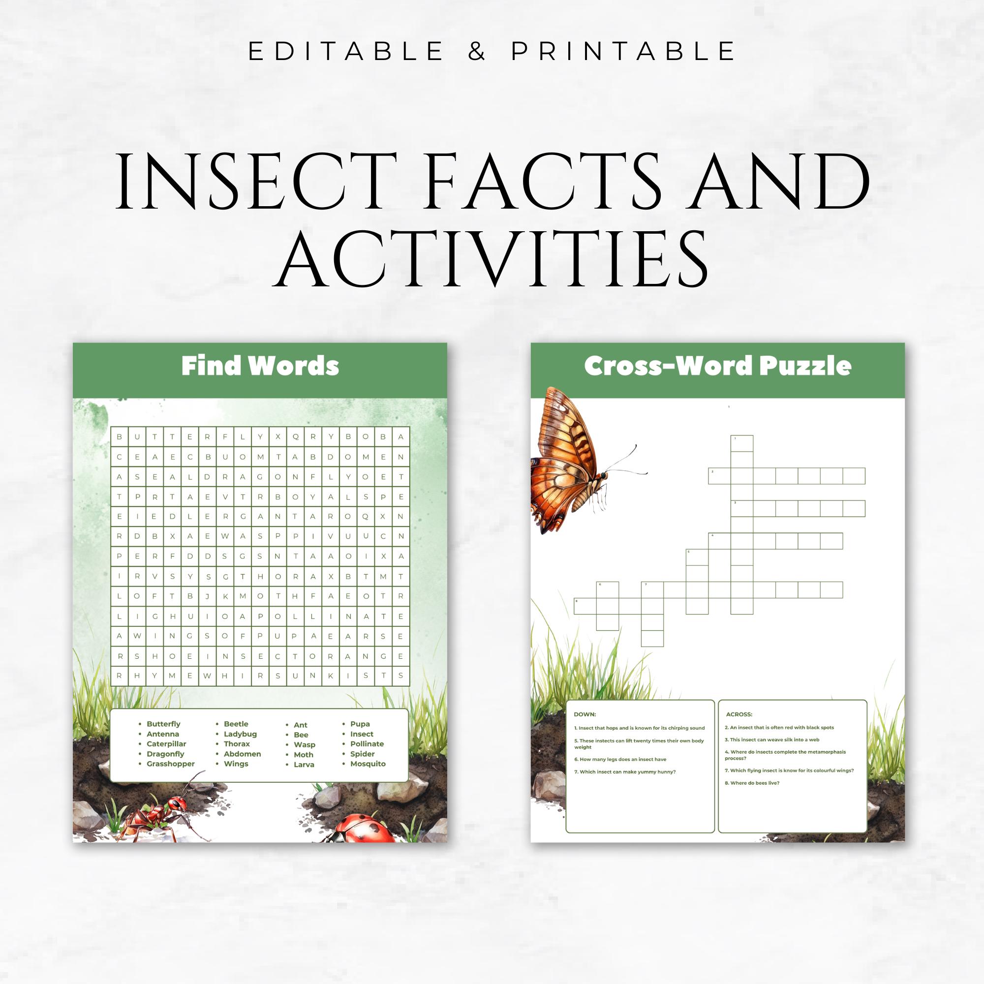 Insect Facts and Activities for Kids Insect Facts Insect Science ...