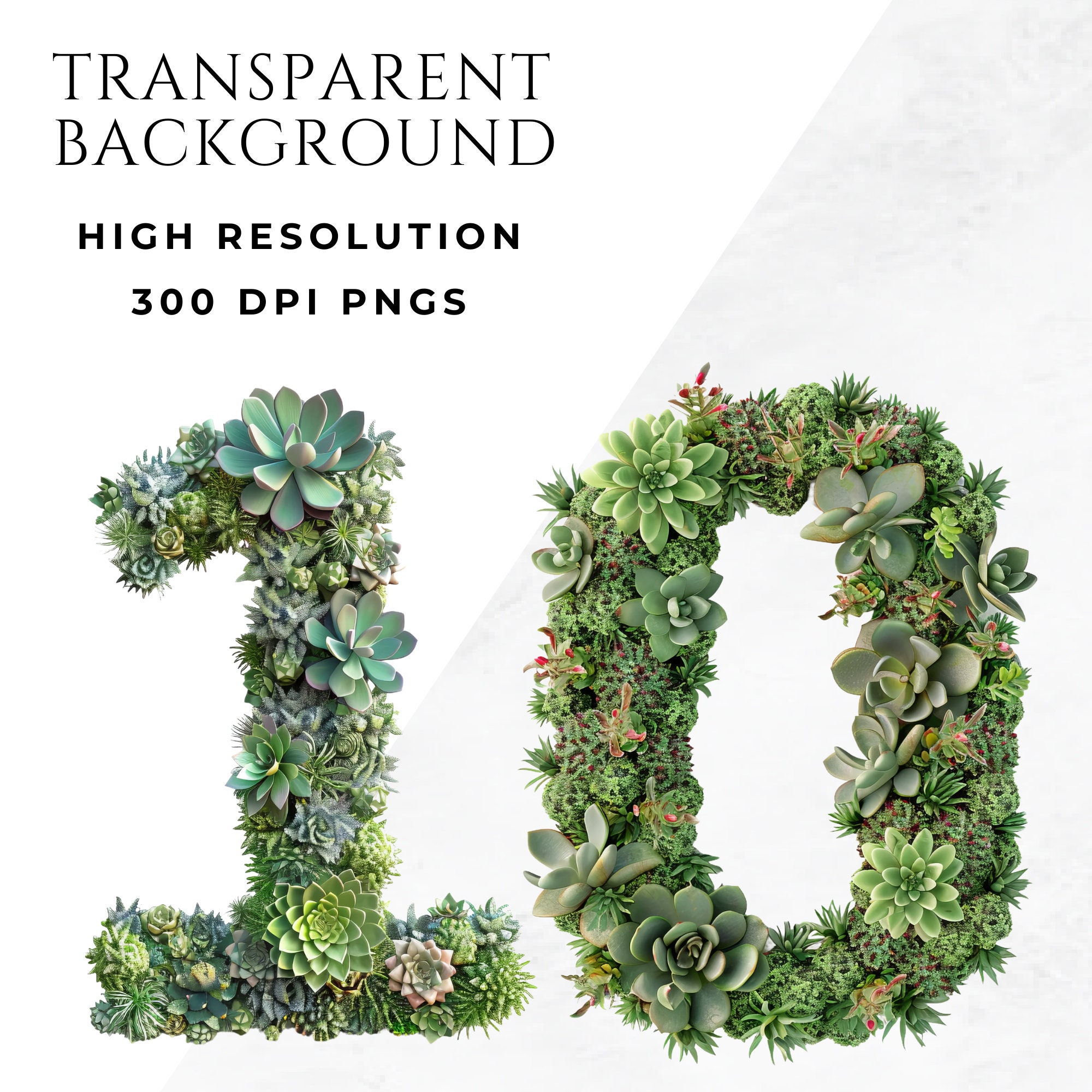 Succulent Plant Numbers Clipart Succulent Clipart Plant Numbers Floral ...