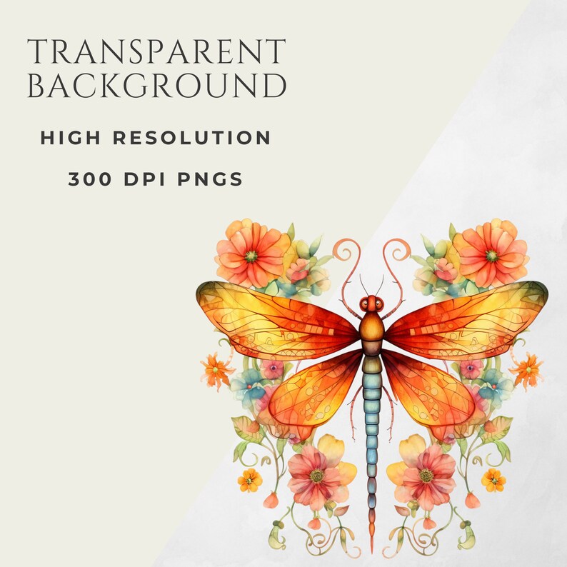 Dragonflies Clipart Dragonflies PNG Dragonfly Clipart Dragonfly Clip ...