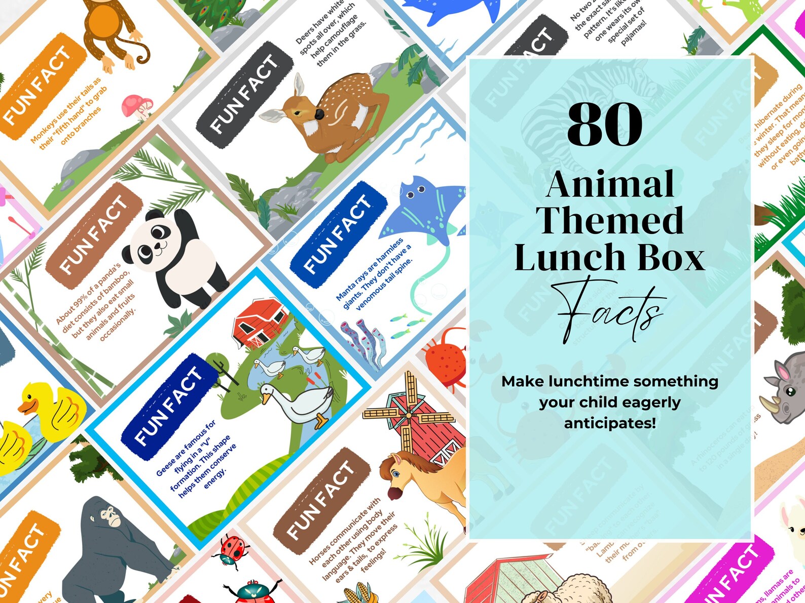 Printable Animal Themed Lunch Box Facts for Kids Fun Facts - Etsy