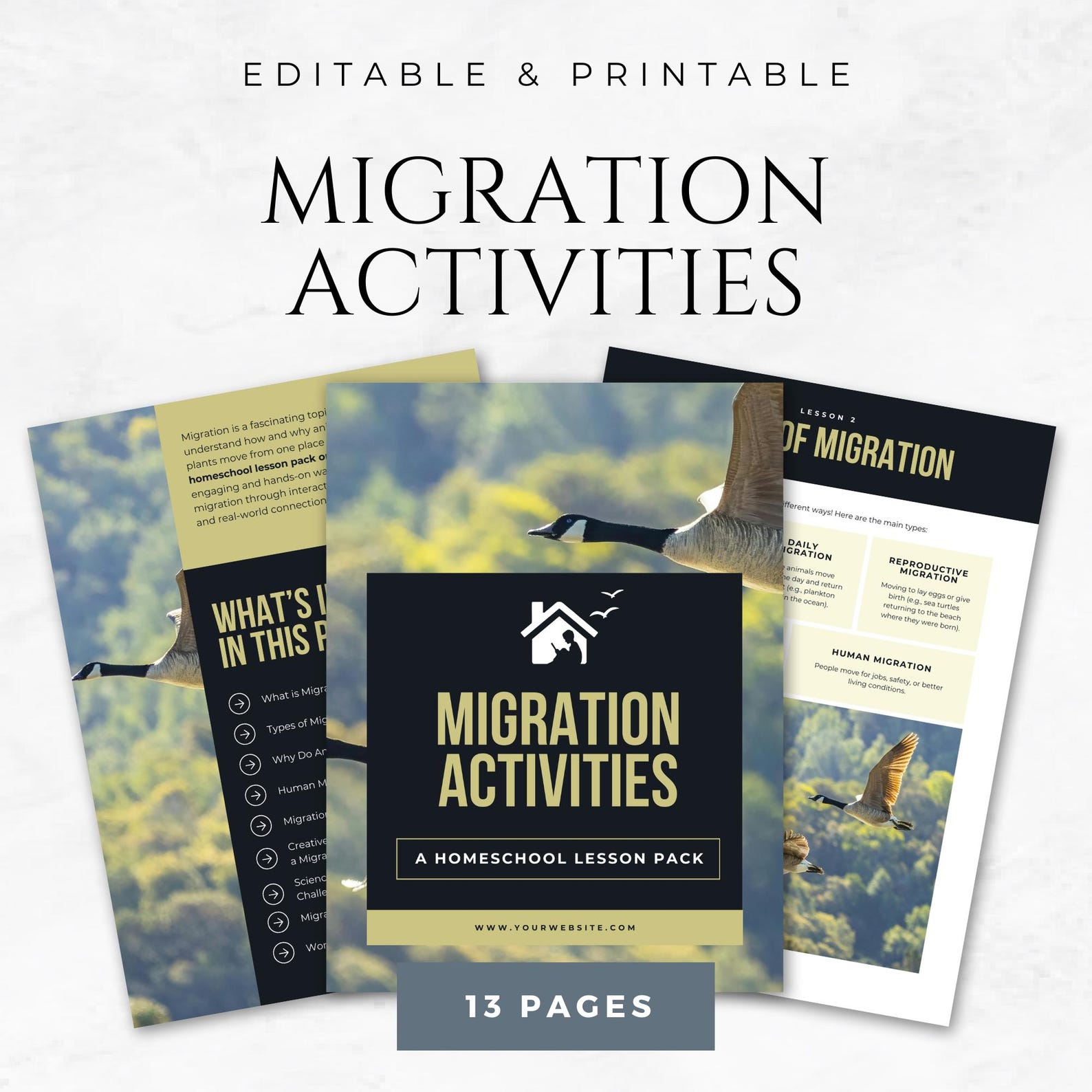 Migration Activities Templates Printable Migration Worksheet Animal ...