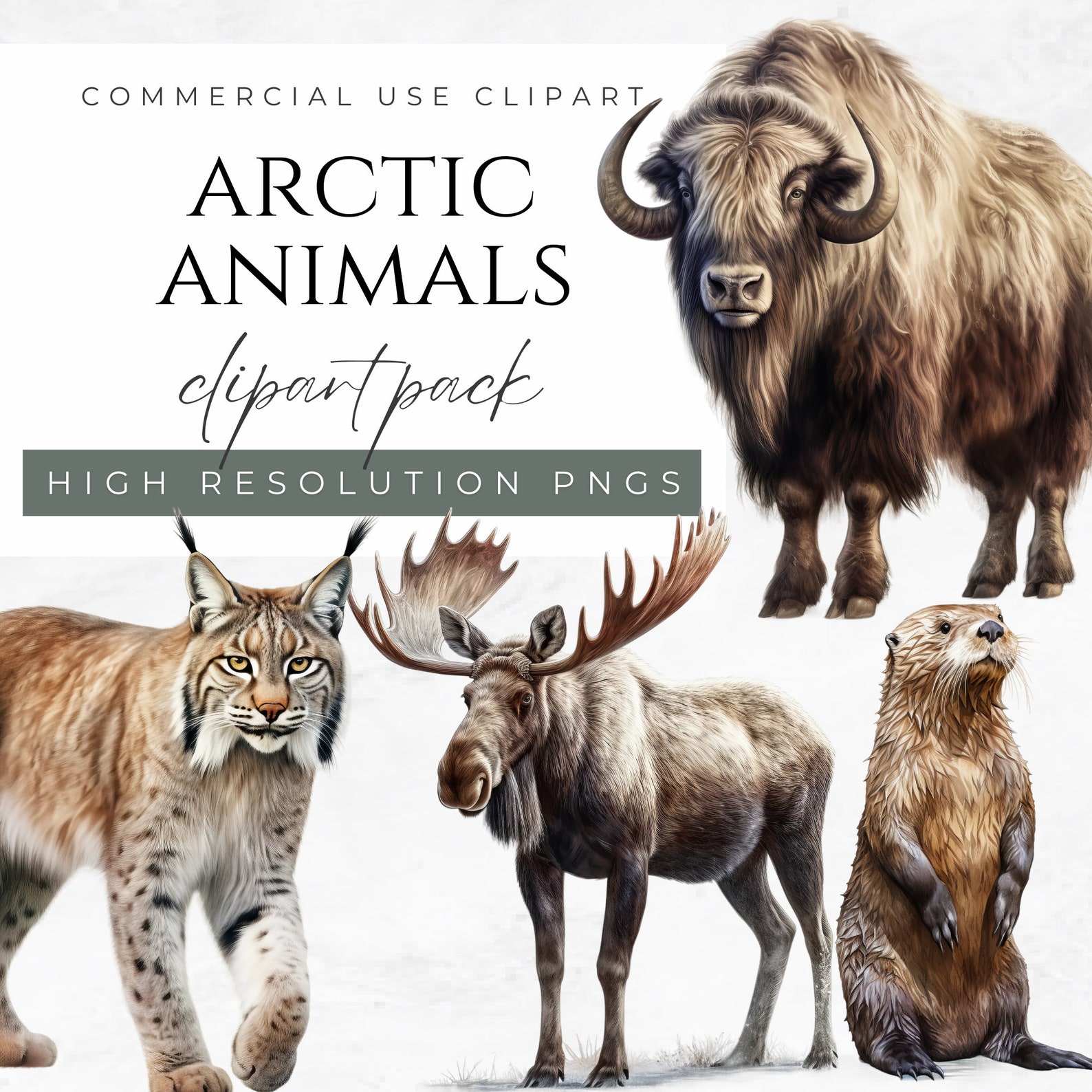 Arctic Animals Clipart Watercolor Polar Animals Clipart Winter Animals ...