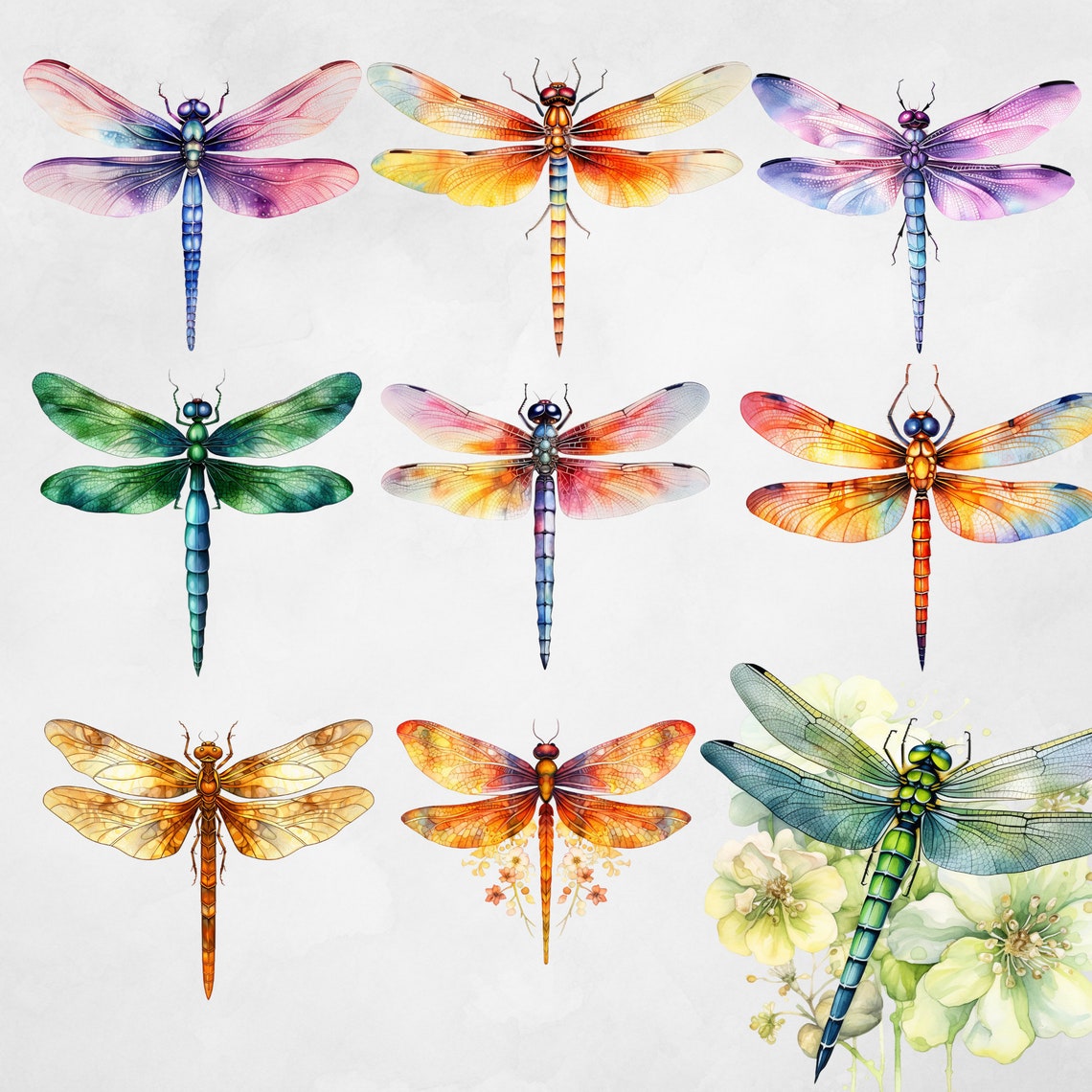 Dragonflies Clipart Dragonflies PNG Dragonfly Clipart Dragonfly Clip ...