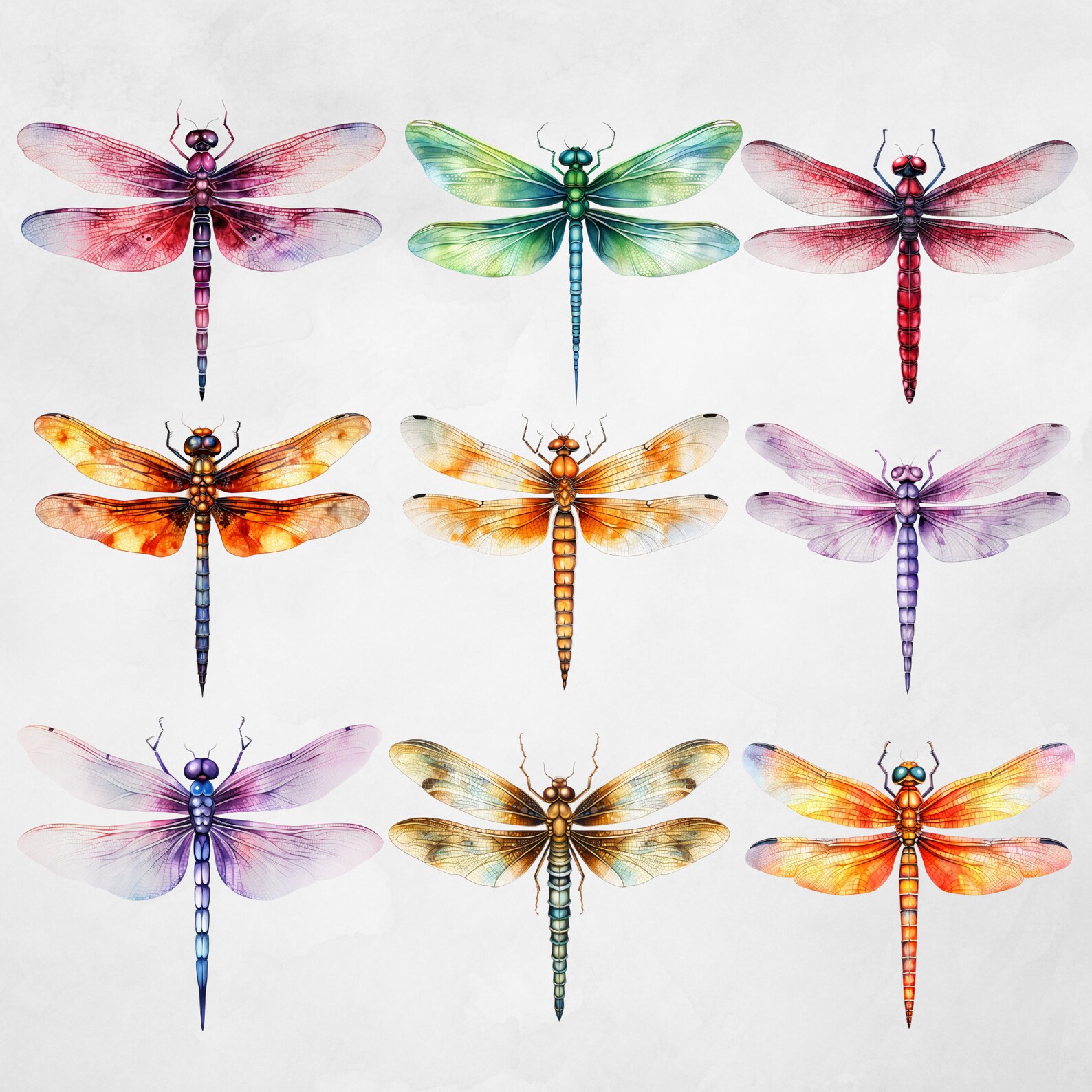 Dragonflies Clipart Dragonflies PNG Dragonfly Clipart Dragonfly Clip ...