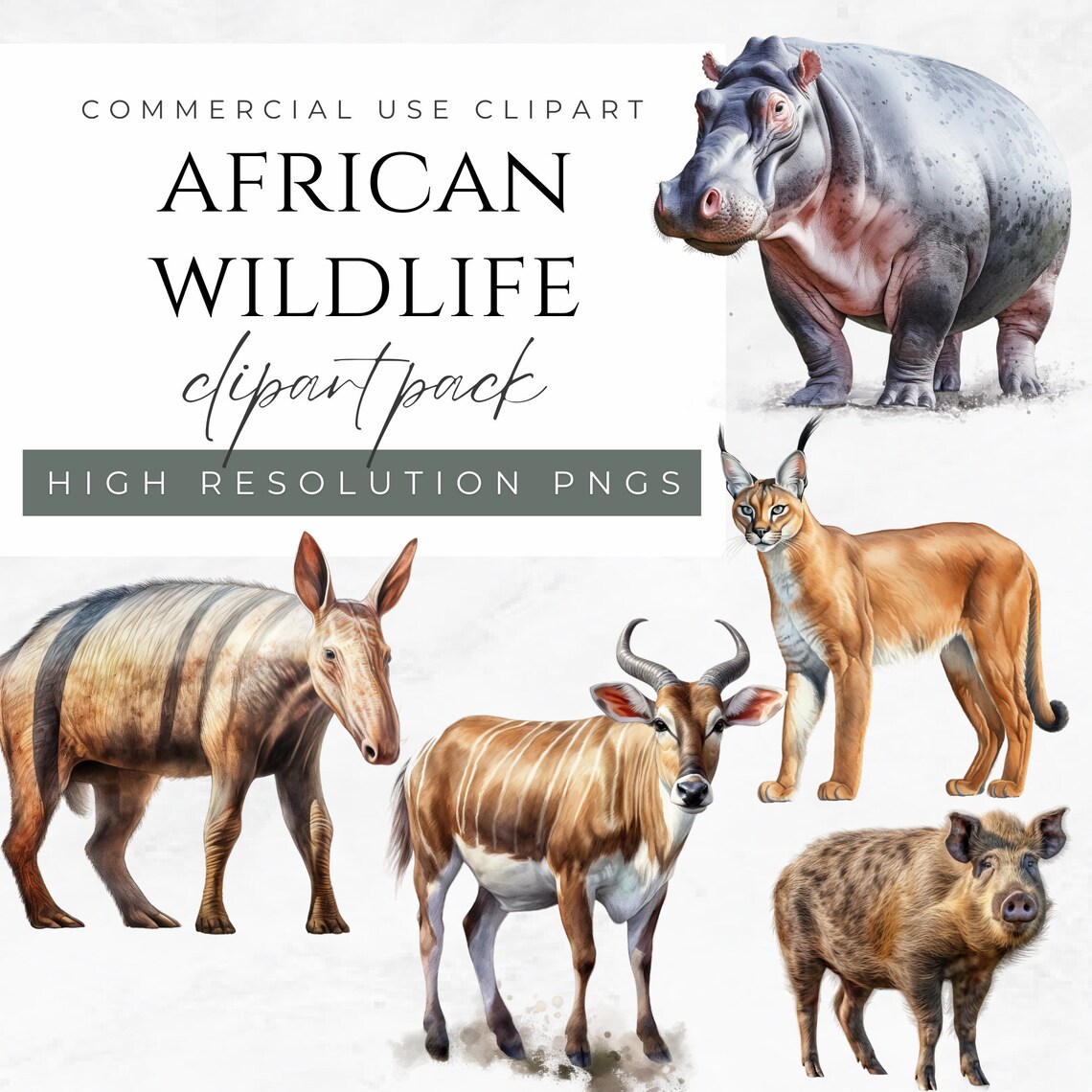 African Animals Clipart Safari Animals Clipart African Savanna Animals ...