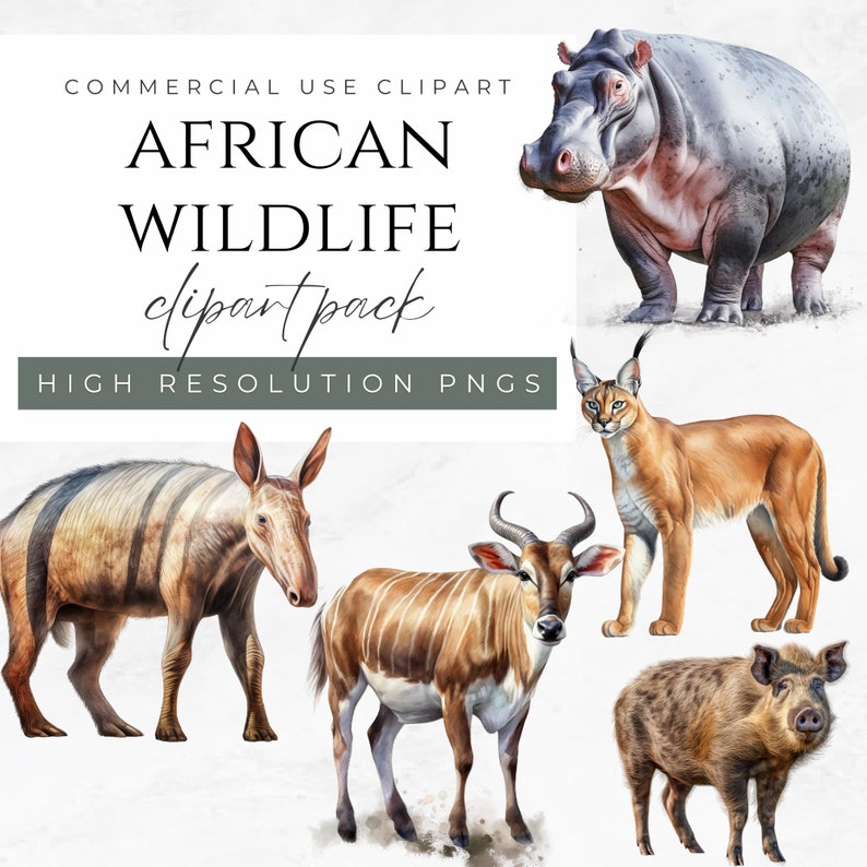 African Animals Clipart Safari Animals Clipart African Savanna Animals ...