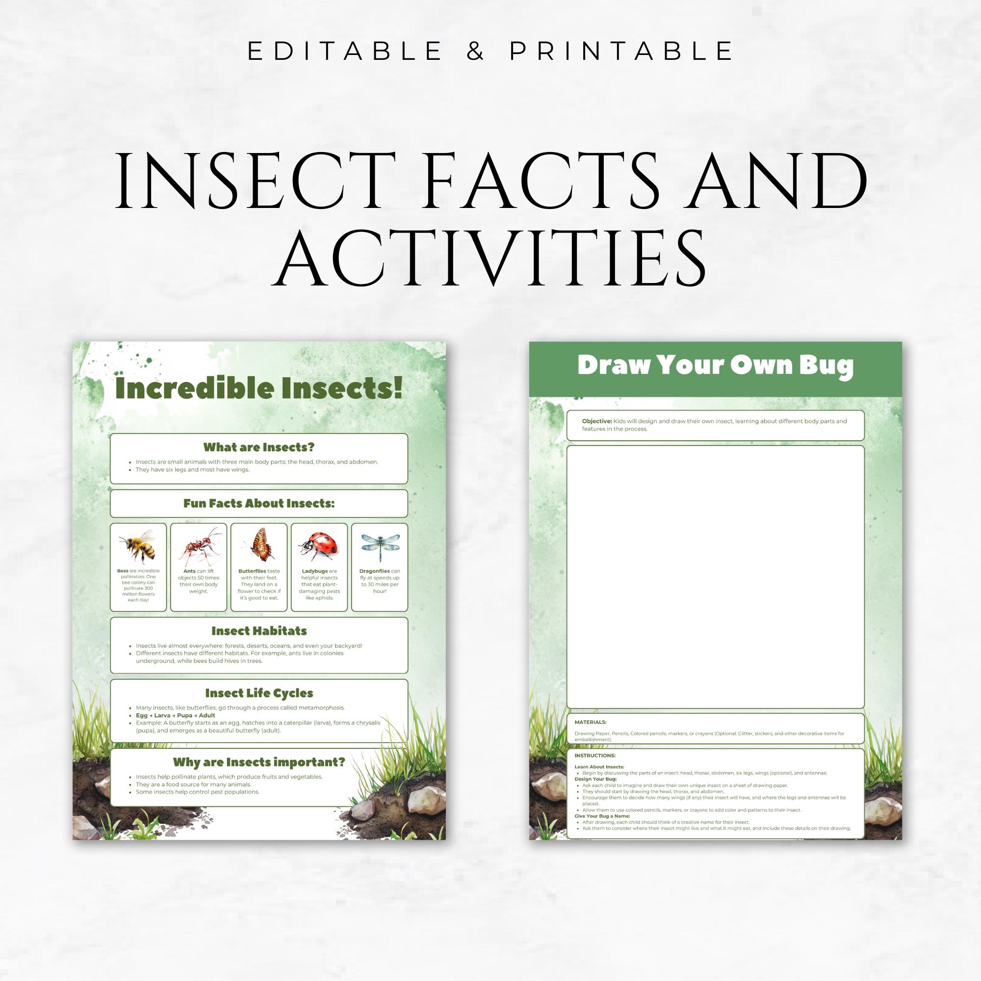 Insect Facts and Activities for Kids Insect Facts Insect Science ...