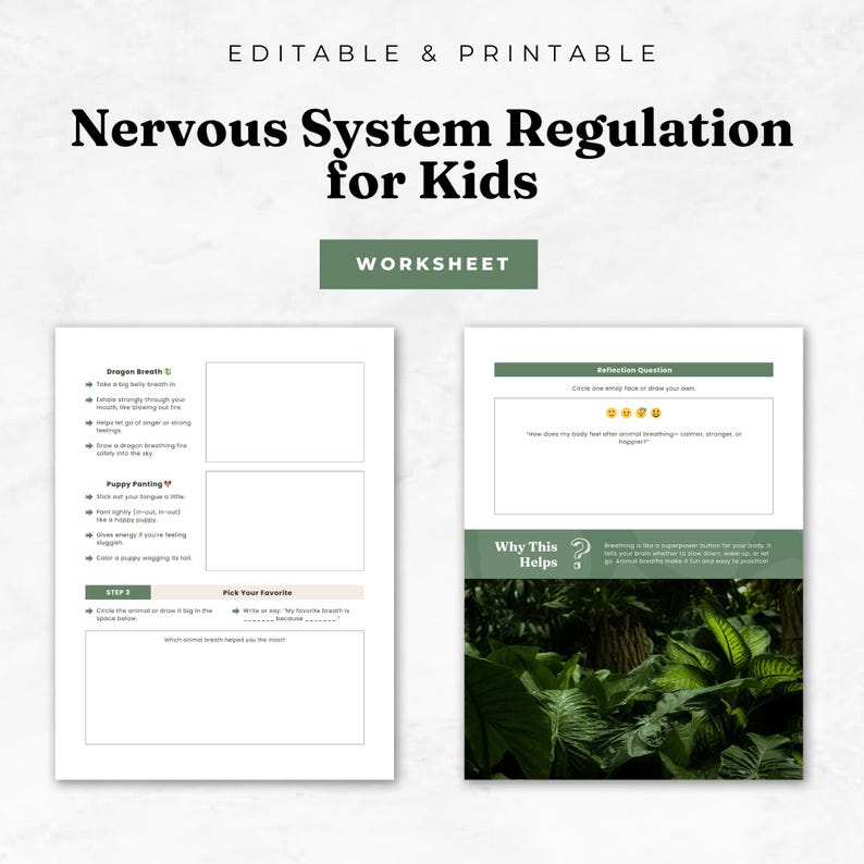 Nervous System Regulation for Kids Canva Template, Emotional Regulation ...