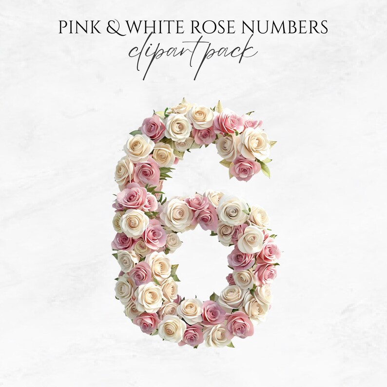 Rose Numbers Clipart Pink Rose Clipart White Rose Clipart Floral ...