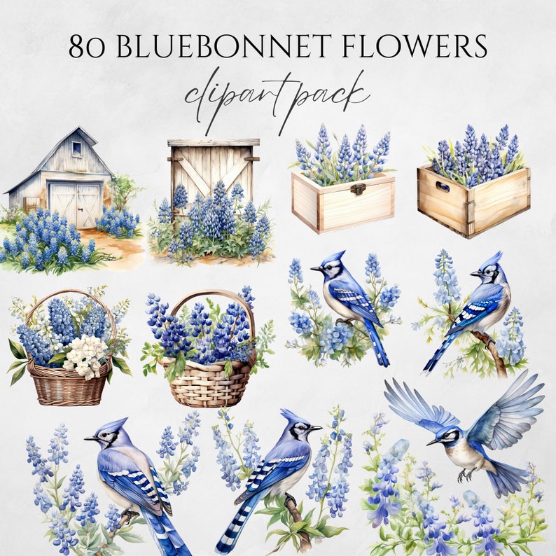 Bluebonnet Clipart PNG Texas Bluebonnet Flowers Clipart Blue Jay ...