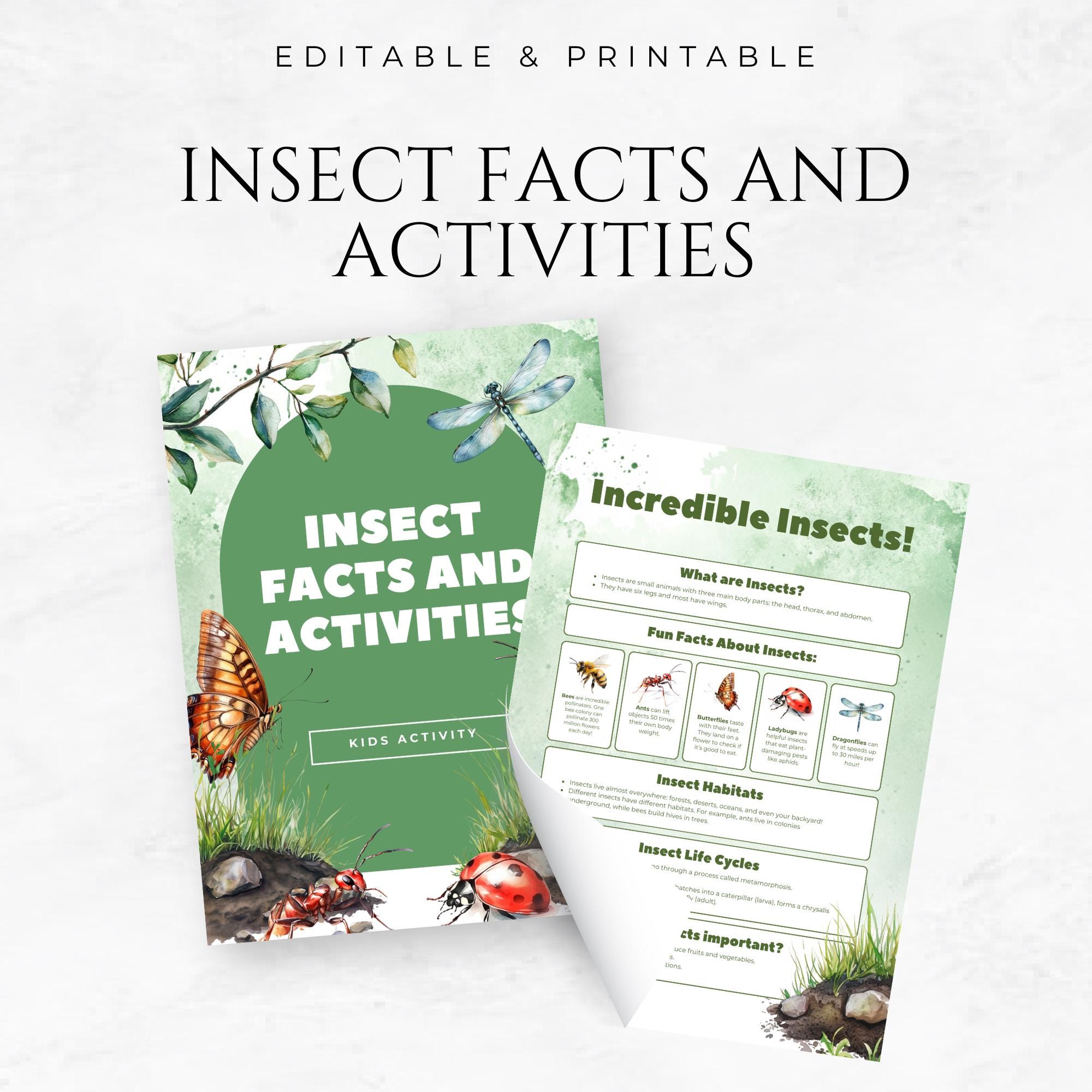 Insect Facts and Activities for Kids Insect Facts Insect Science ...