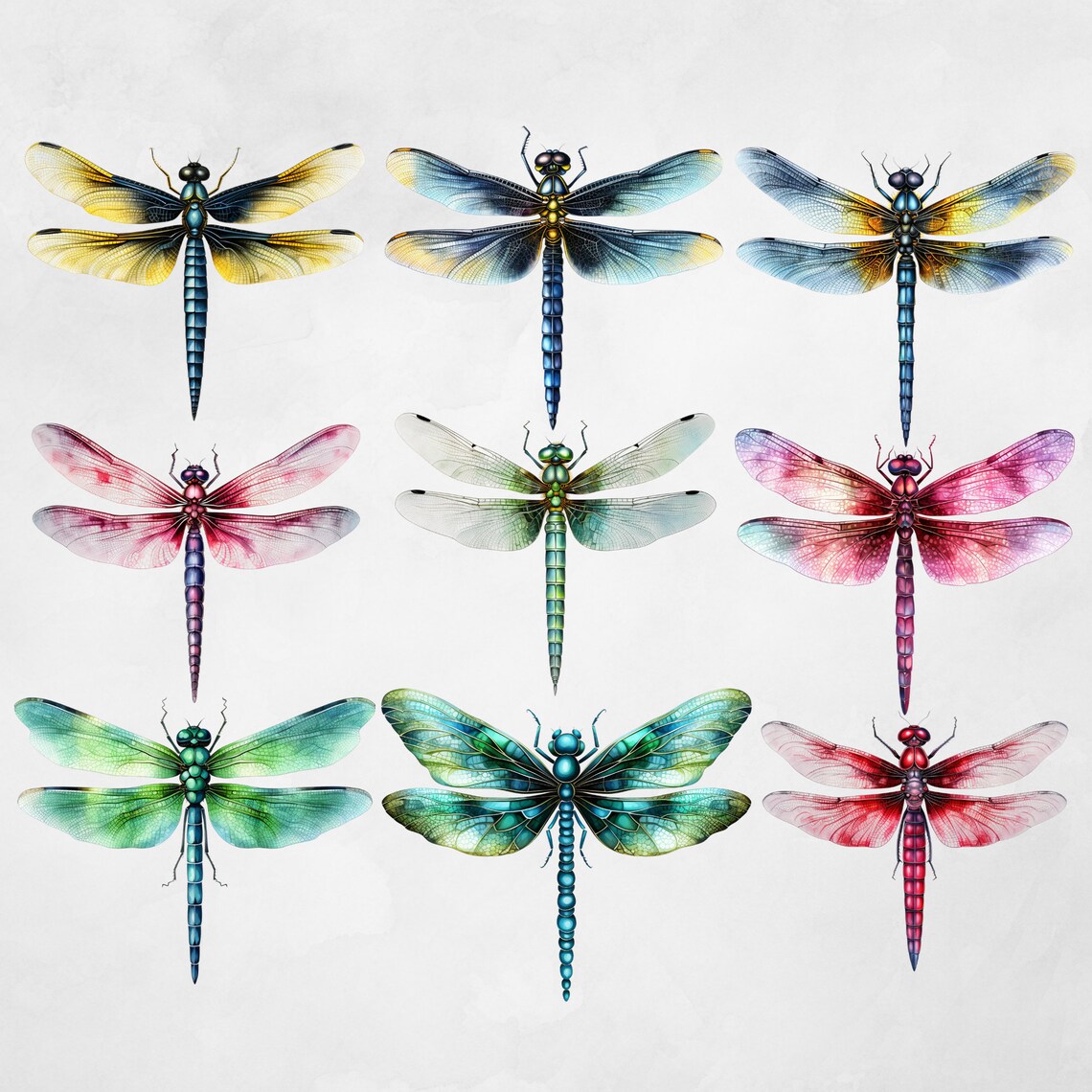Dragonflies Clipart Dragonflies PNG Dragonfly Clipart Dragonfly Clip ...