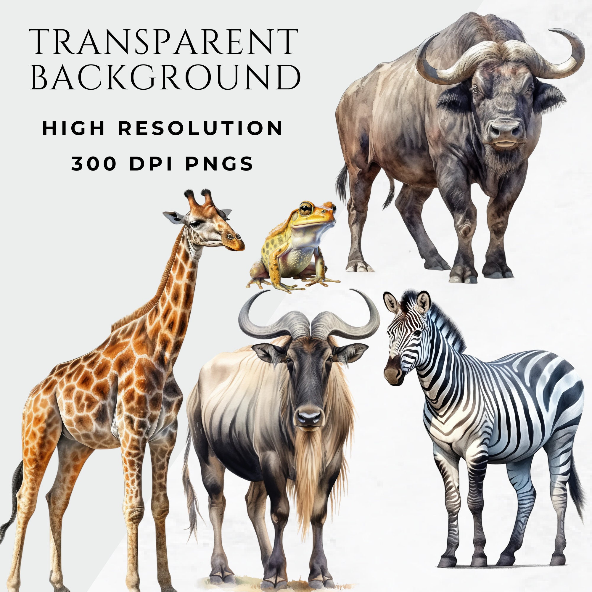 African Animals Clipart Safari Animals Clipart African Savanna Animals ...