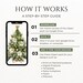 Green Christmas Clipart Holiday Clipart Christmas Decor Winter Green ...