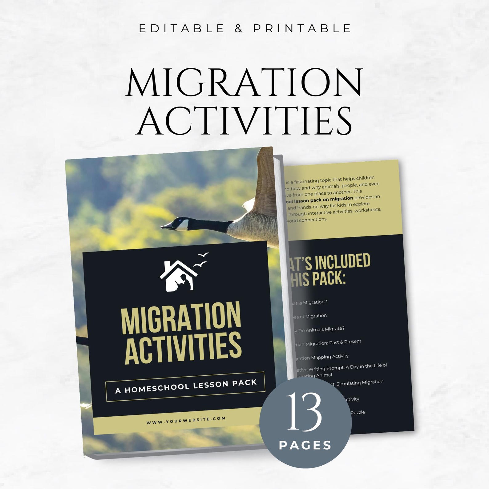 Migration Activities Templates Printable Migration Worksheet Animal ...