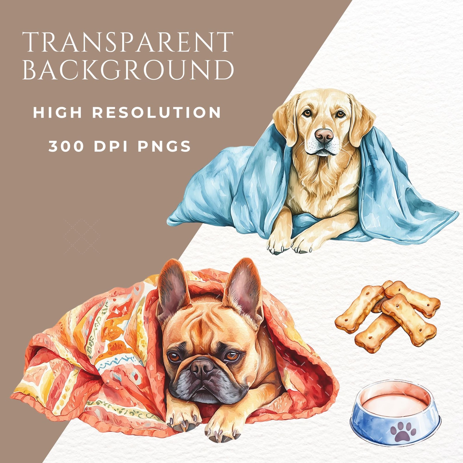 Pet Themed Clipart Dog Clipart Cat Clipart Animal Clipart Puppy Kitten ...