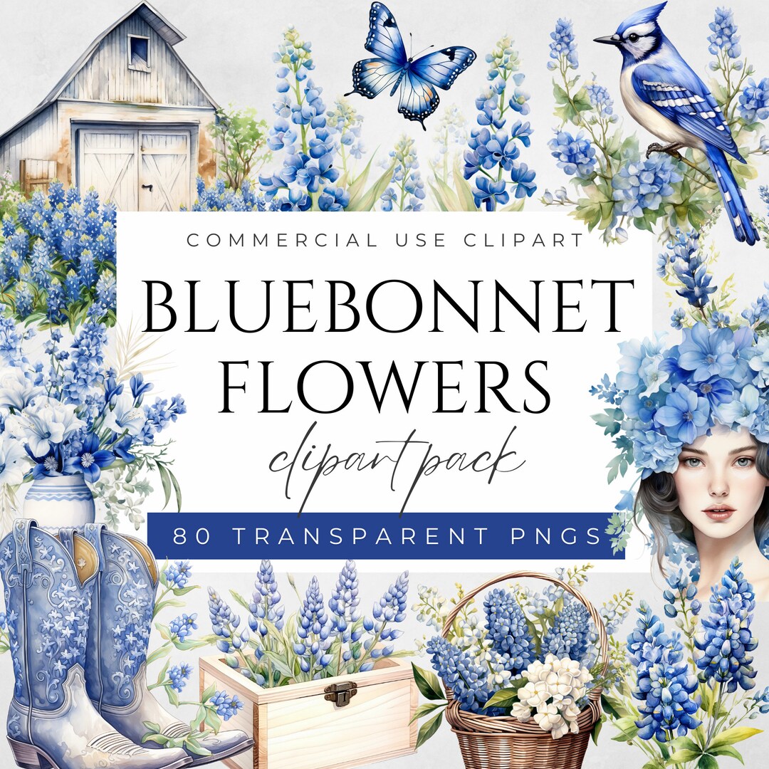 Bluebonnet Clipart PNG Texas Bluebonnet Flowers Clipart Blue Jay ...