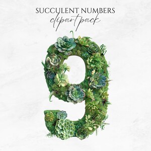 Succulent Plant Numbers Clipart Succulent Clipart Plant Numbers Floral ...