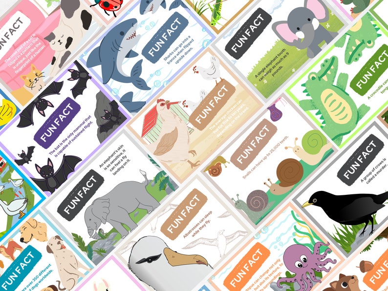 Printable Animal Themed Lunch Box Facts for Kids Fun Facts Trivia Lunch ...