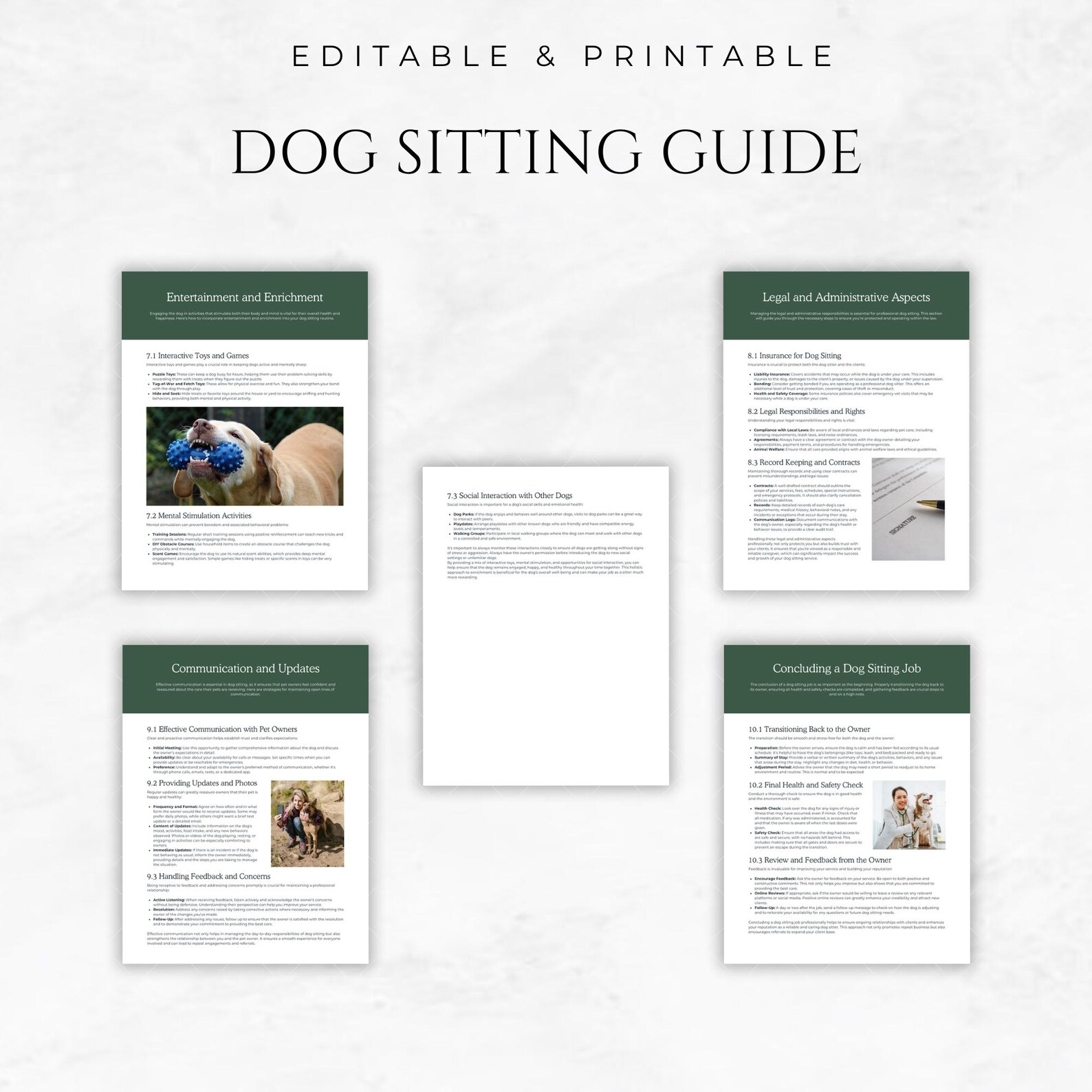 Dog Sitting Guide Dog Care Template Pet Sitting Planner Pet Care Guide ...