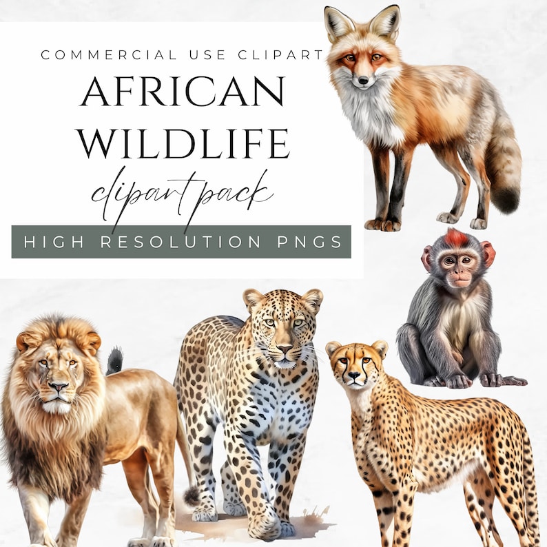 African Animals Clipart Safari Animals Clipart African Savanna Animals ...